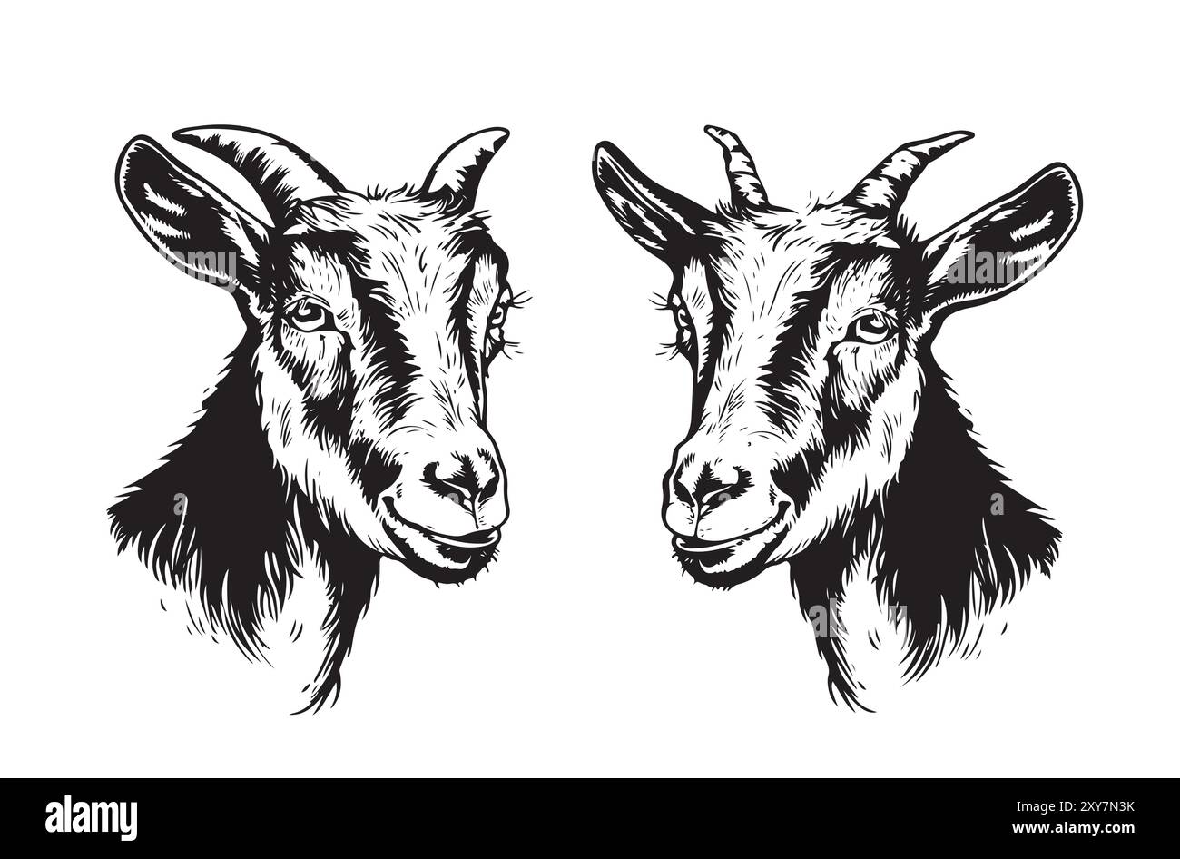 Set of hand drawn goat sketch. Goat head illustration in engraving vintage style. Goat vector ...