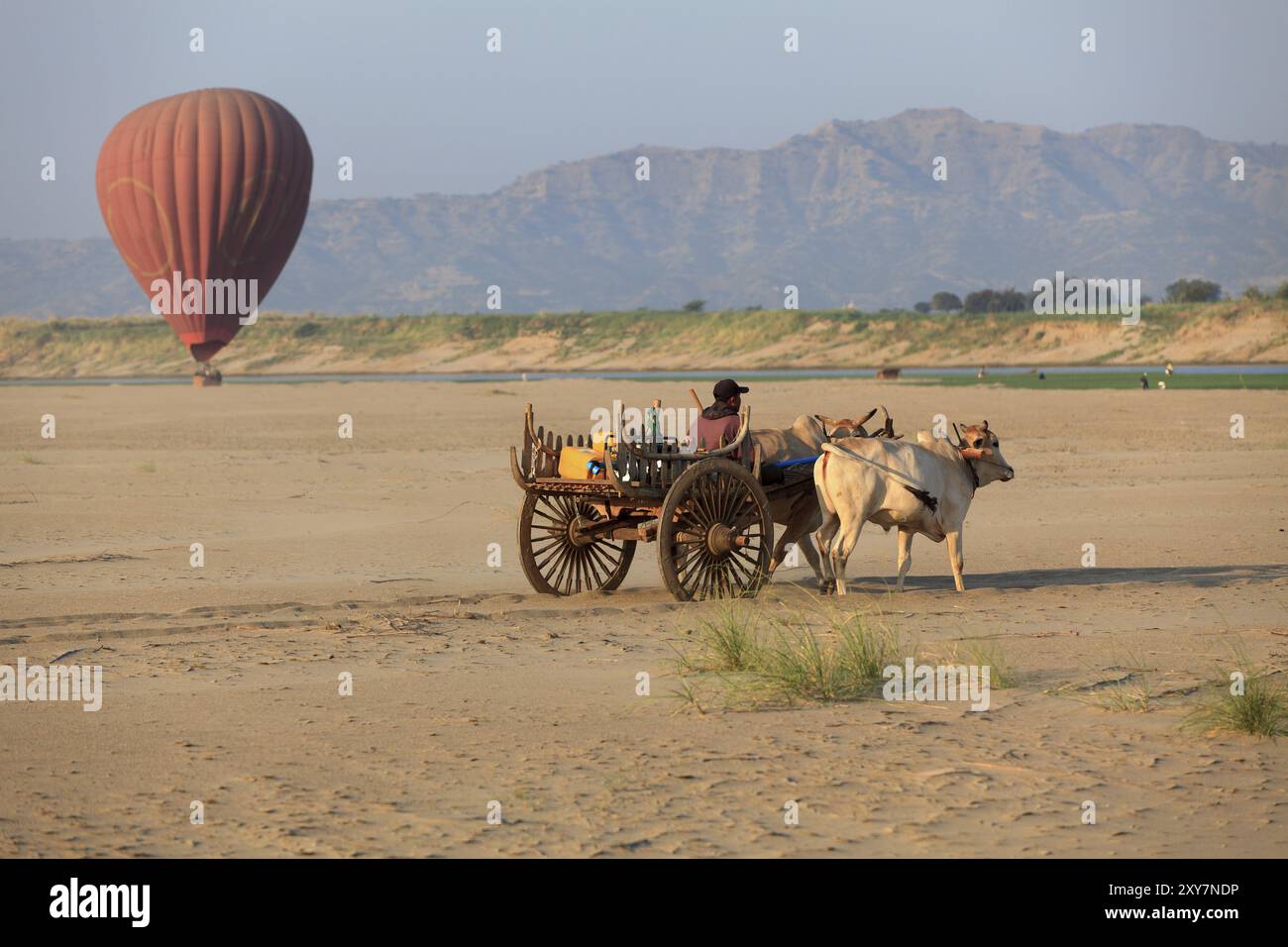 Farming at the irrawaddy river hi-res stock photography and images - Alamy