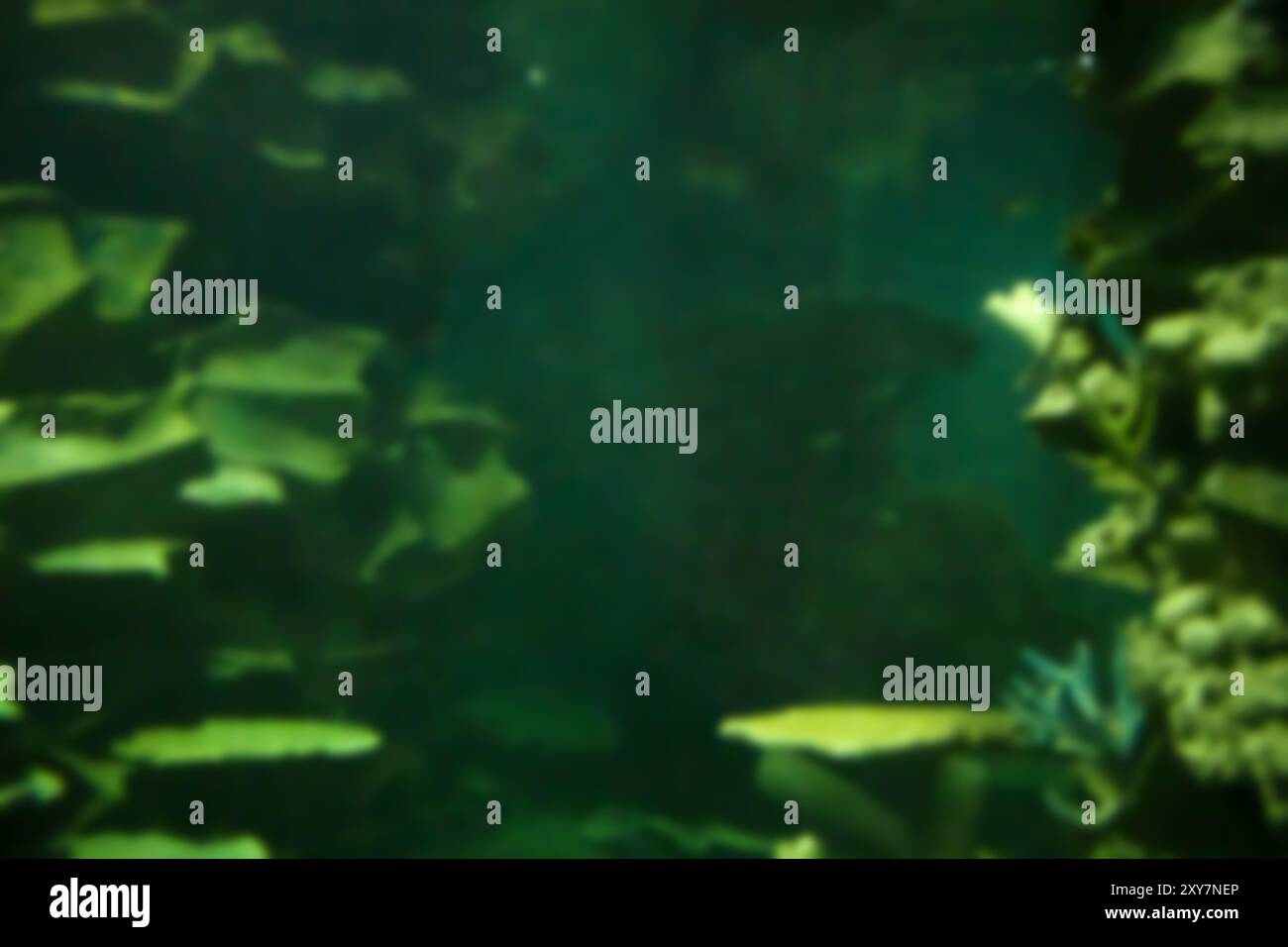 Underwater ocean abstract blur for background Stock Photo - Alamy