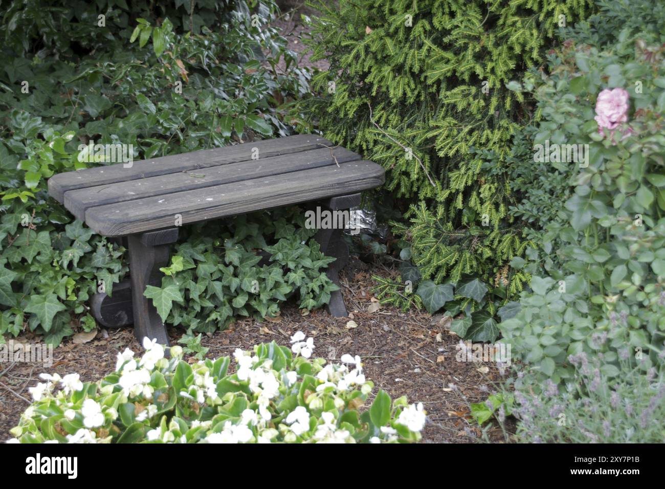 Gravestone and bench hi-res stock photography and images - Alamy