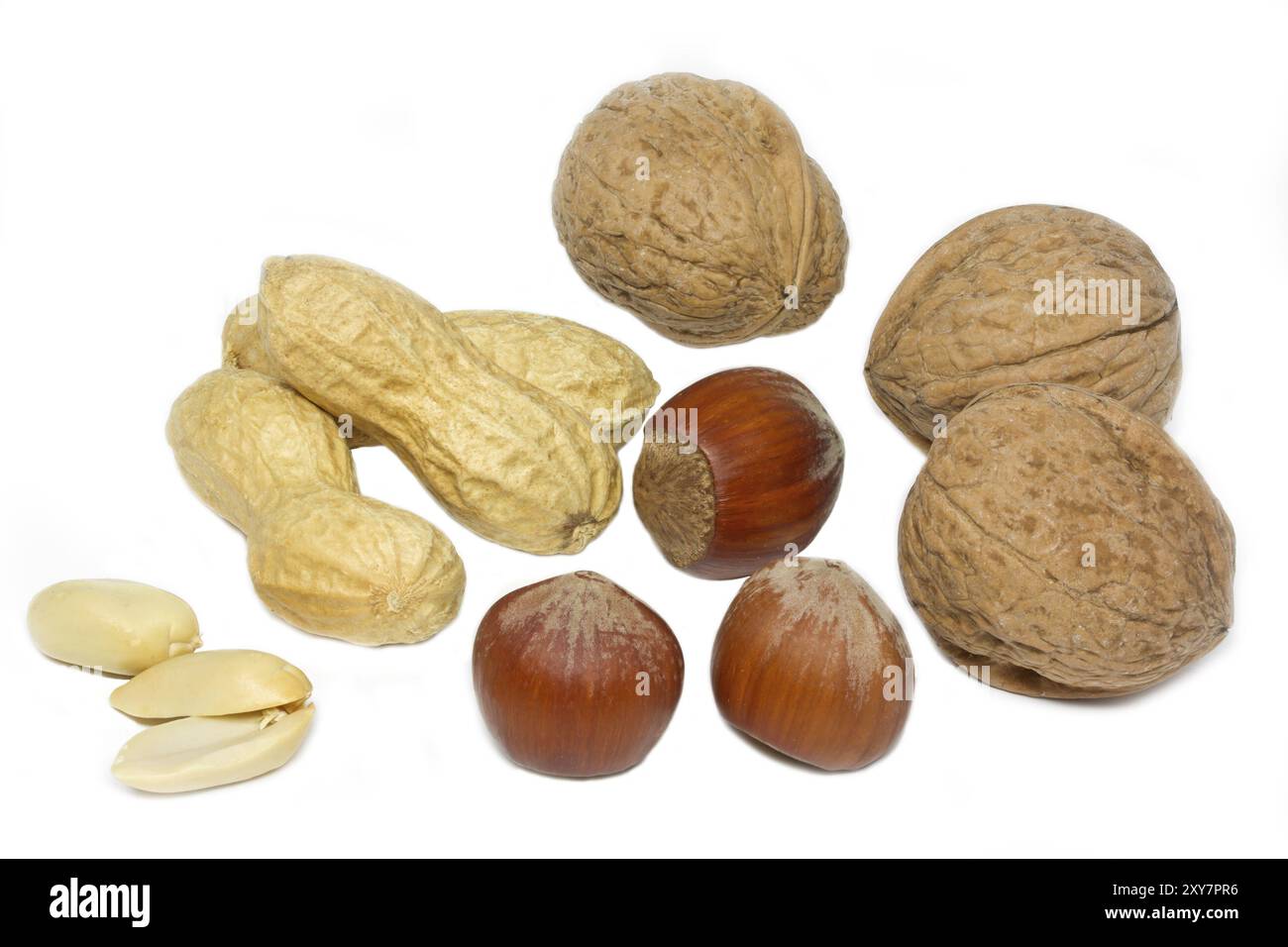 Selection light Cut Out Stock Images & Pictures - Alamy