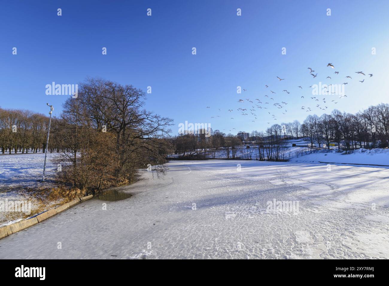 Oslo winter landscape at Vigeland Sculpture Park with snow and dry tree ...