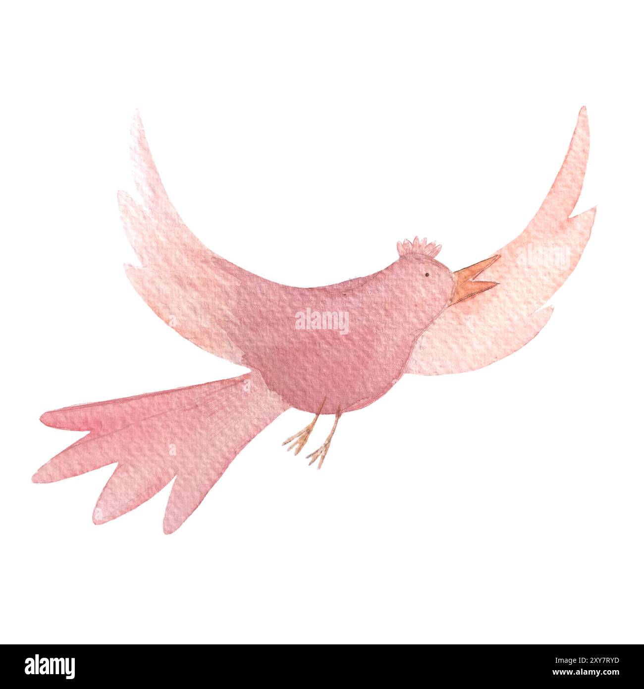Pink bird with crest, flying, cartoon stile character, hand painted ...