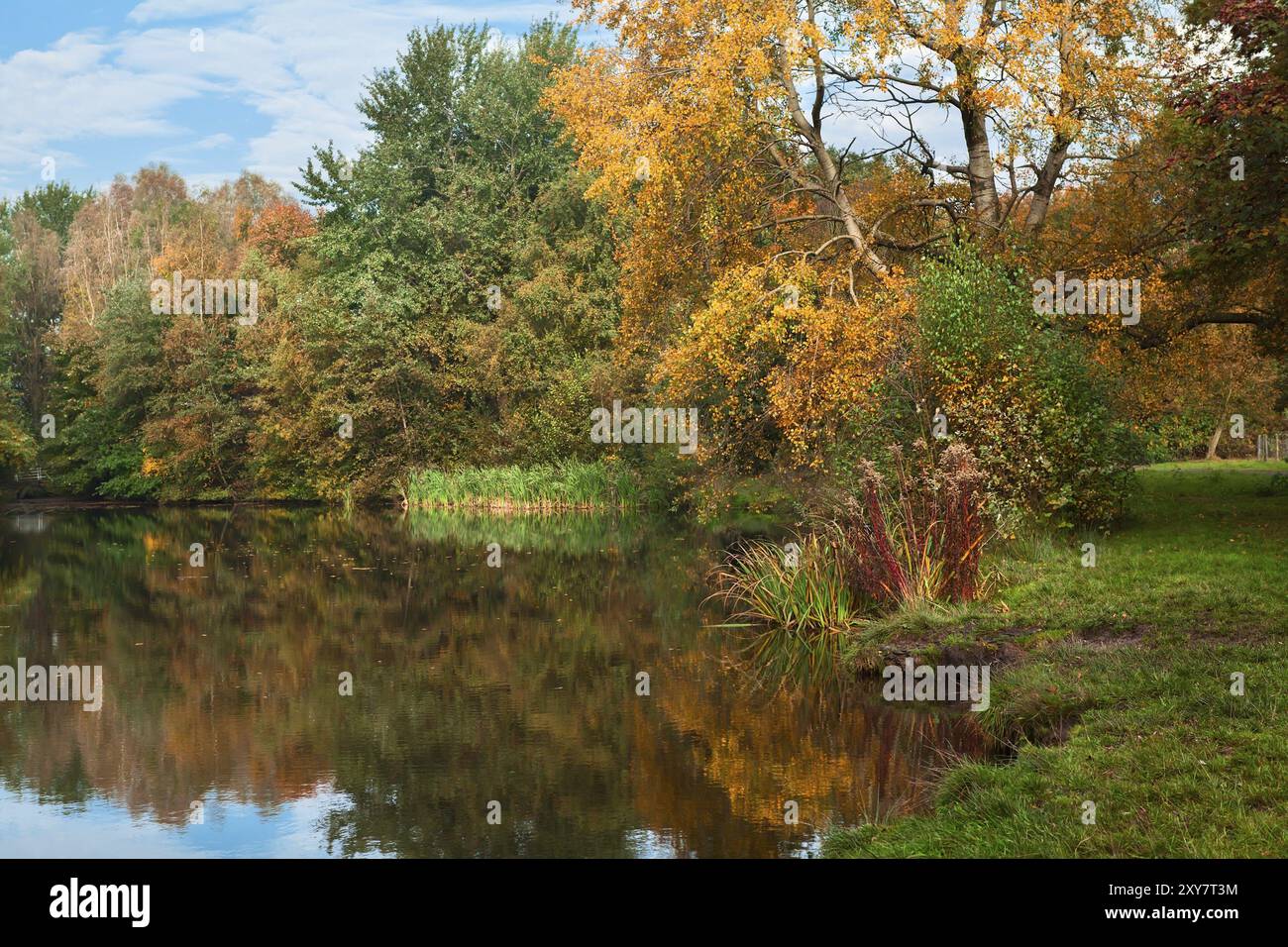 Autumn trees around pond in hi-res stock photography and images - Alamy