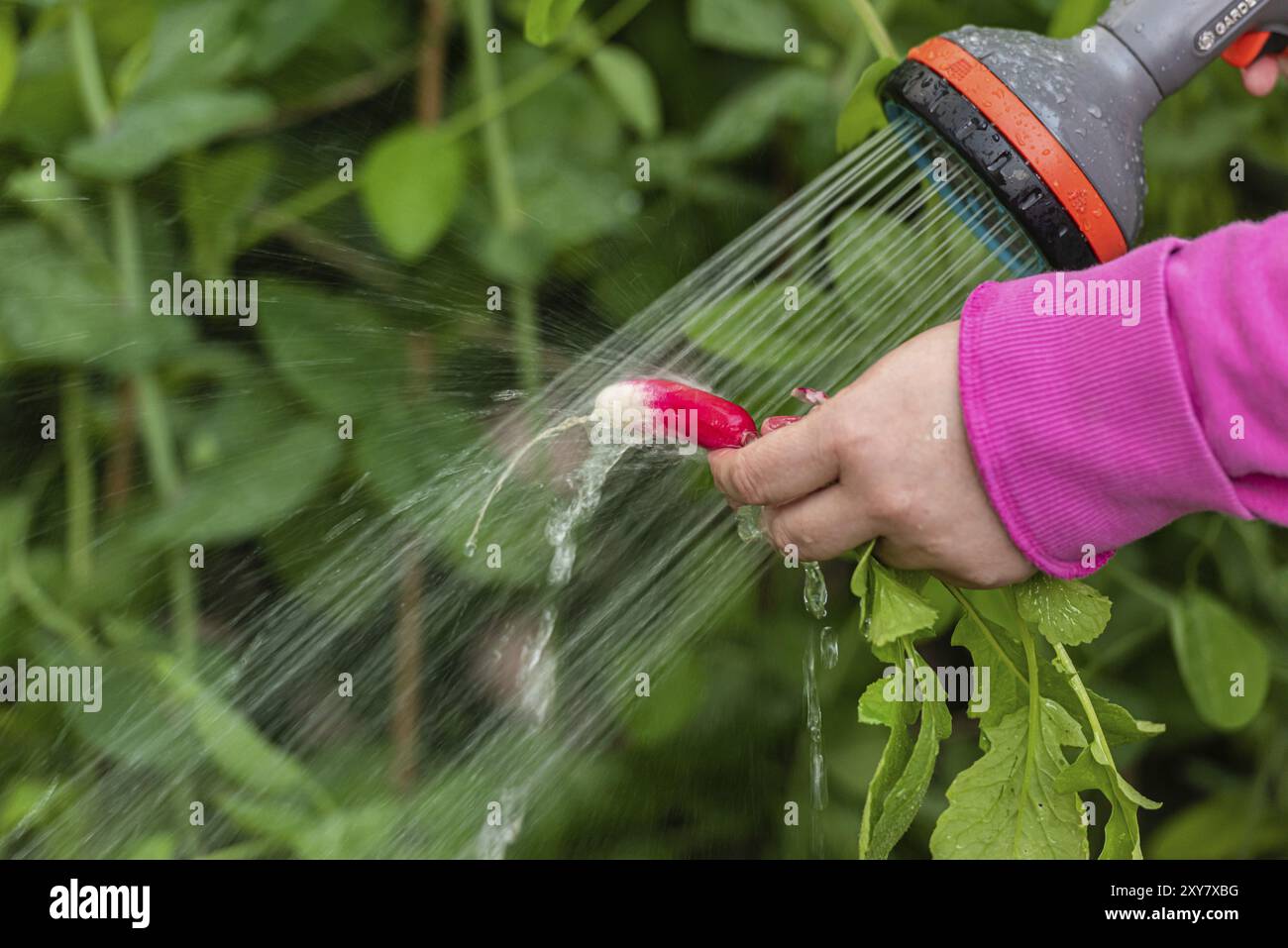Rinsing off hi-res stock photography and images - Alamy