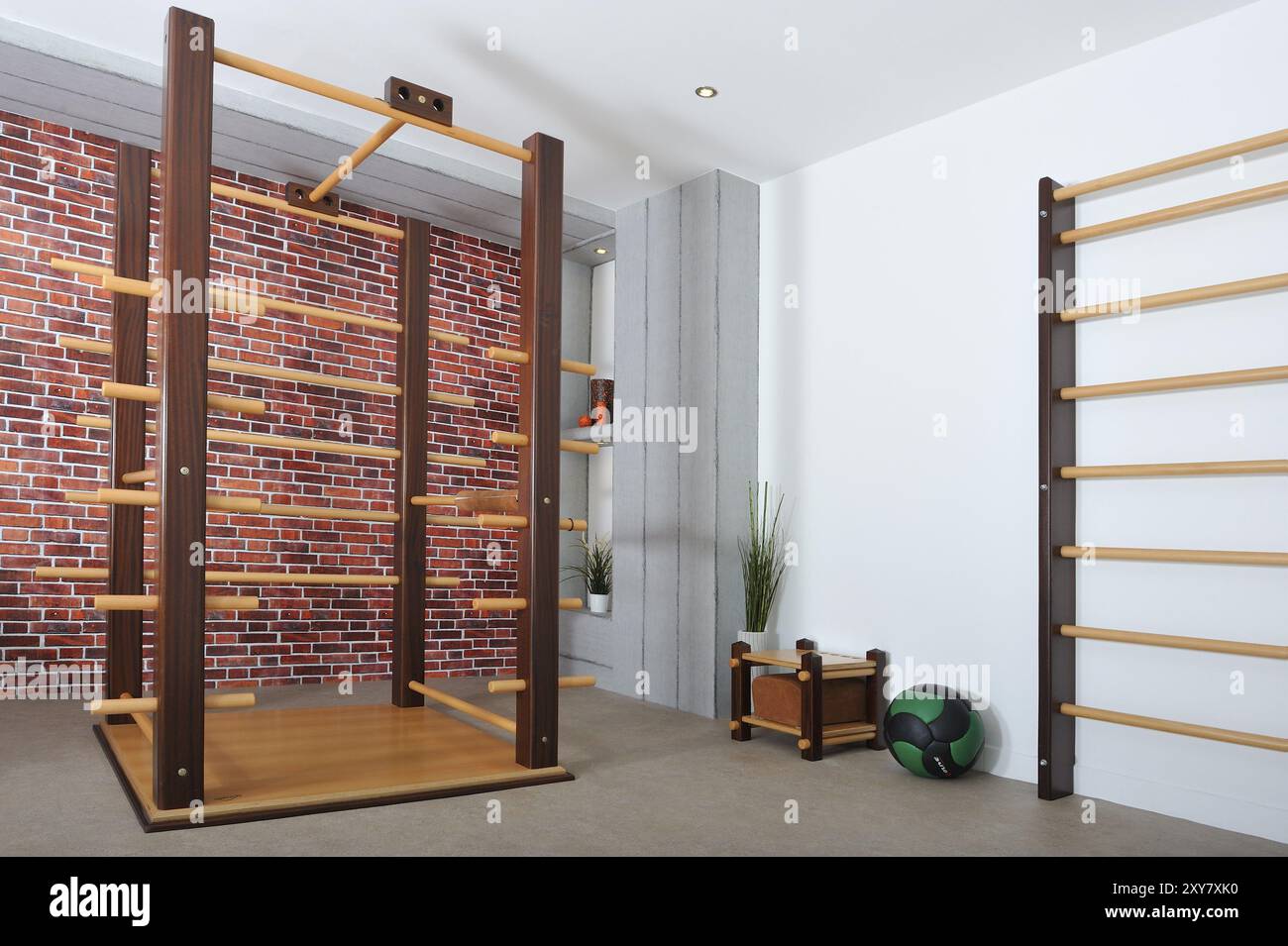 Functional, Fitness and CrossFit in a studio. Functional horizontal bar ...