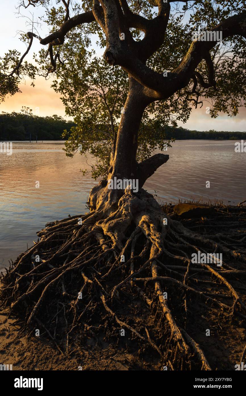 Wooli river hi-res stock photography and images - Alamy