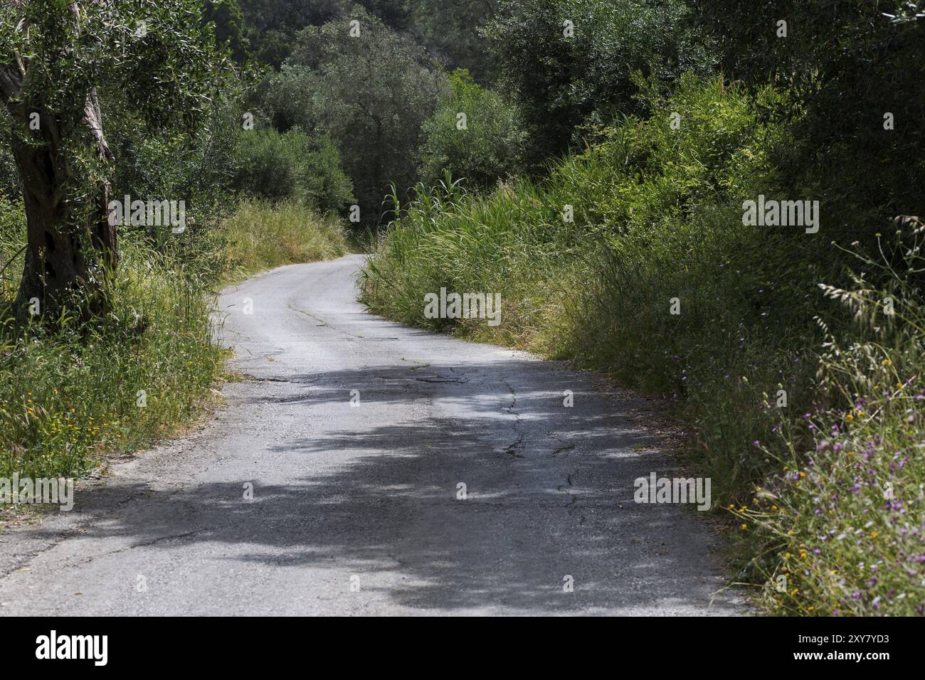 Corfu highway traffic hi-res stock photography and images - Alamy