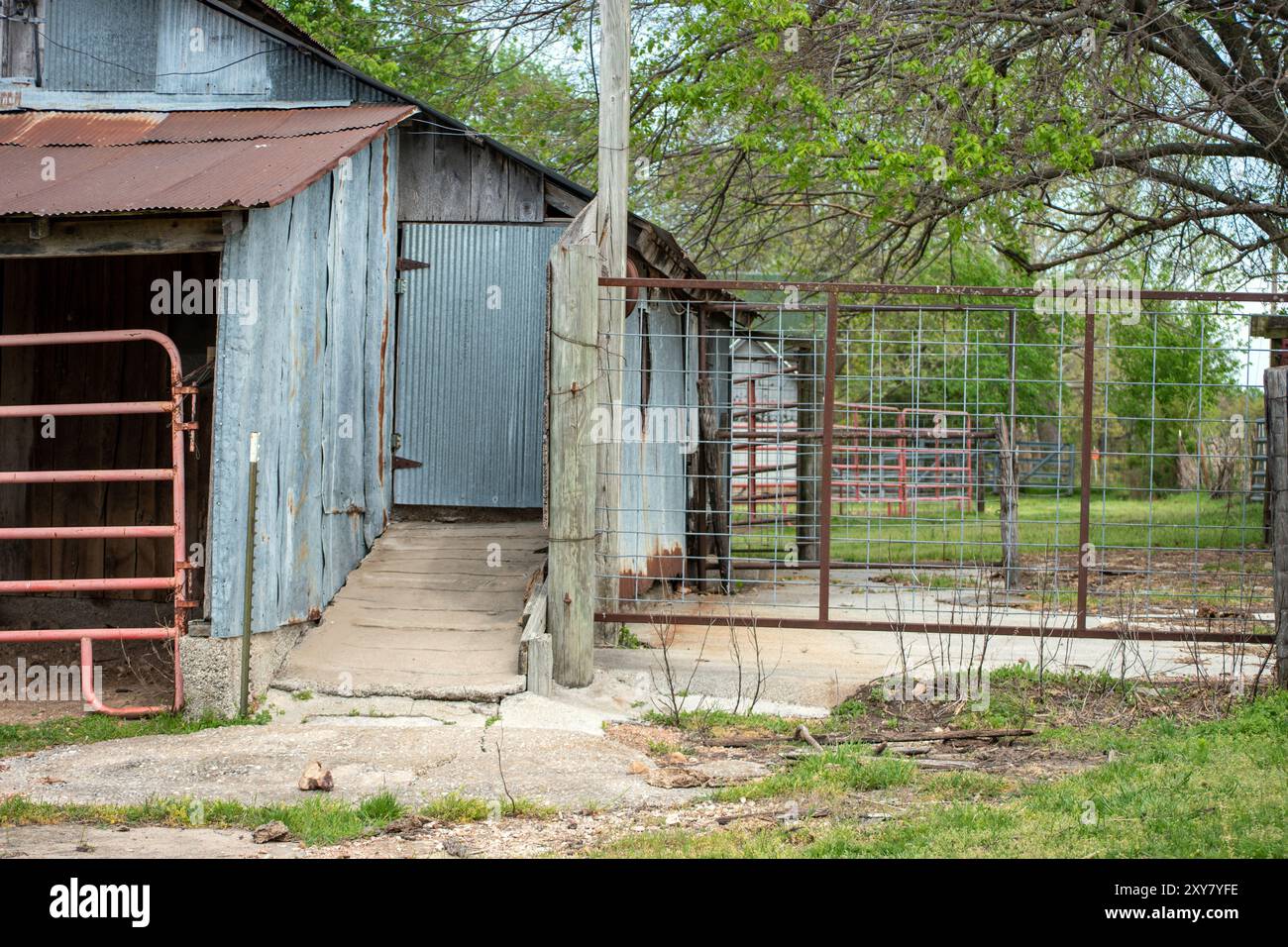 Milk ramp hi-res stock photography and images - Alamy