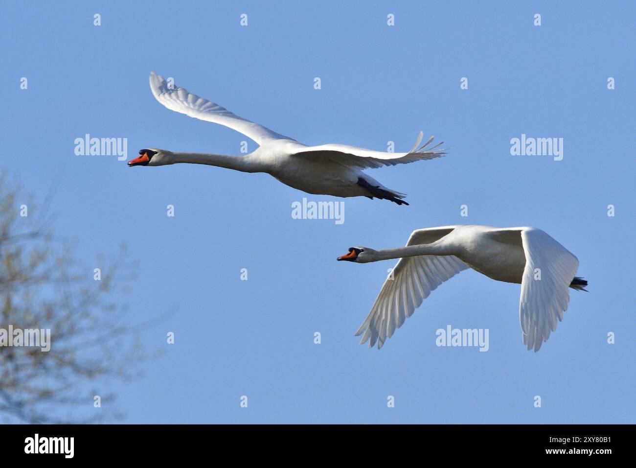 Flight of the wild geese battle hi-res stock photography and images - Alamy