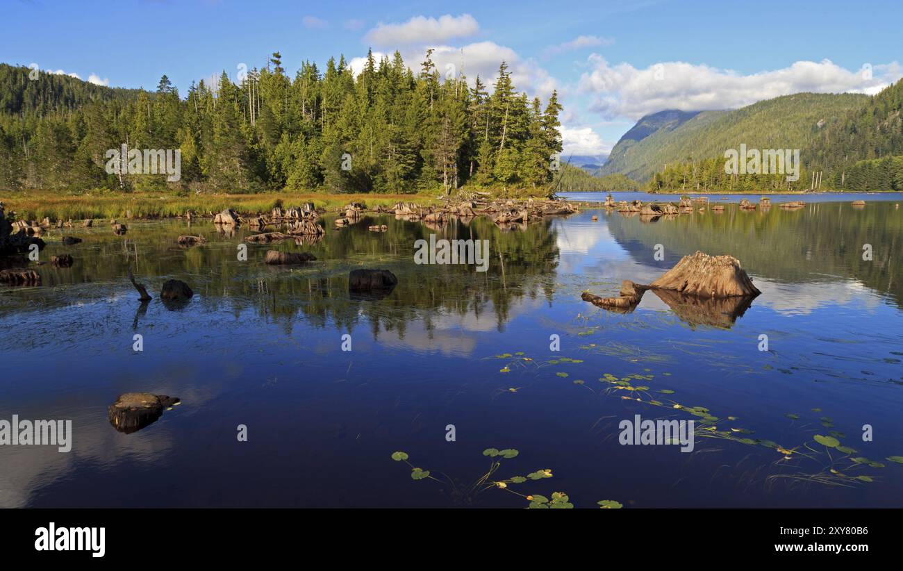 Canadian river landscape Stock Photo - Alamy