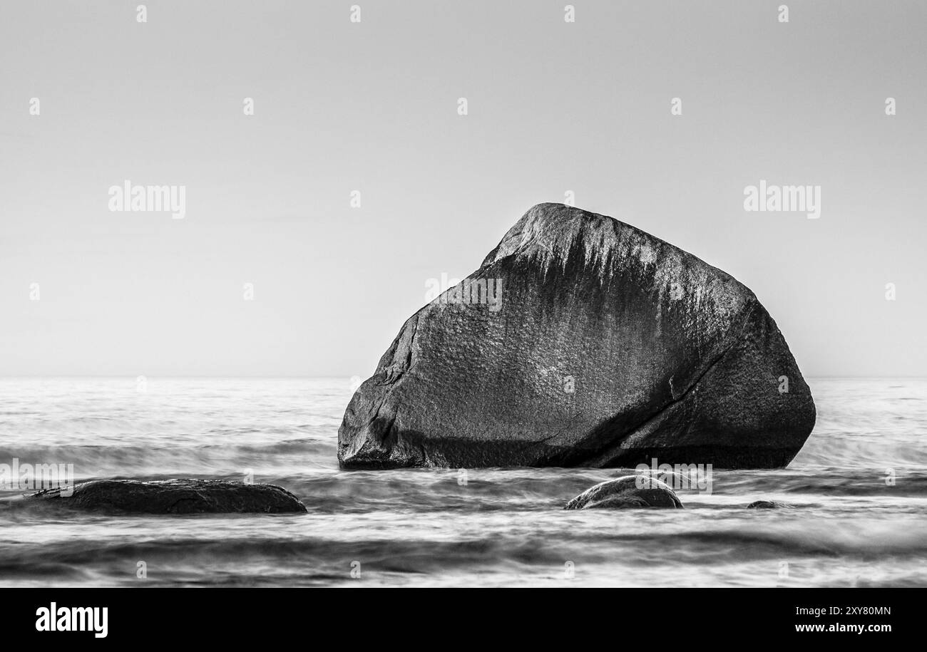 German swan Black and White Stock Photos & Images - Alamy