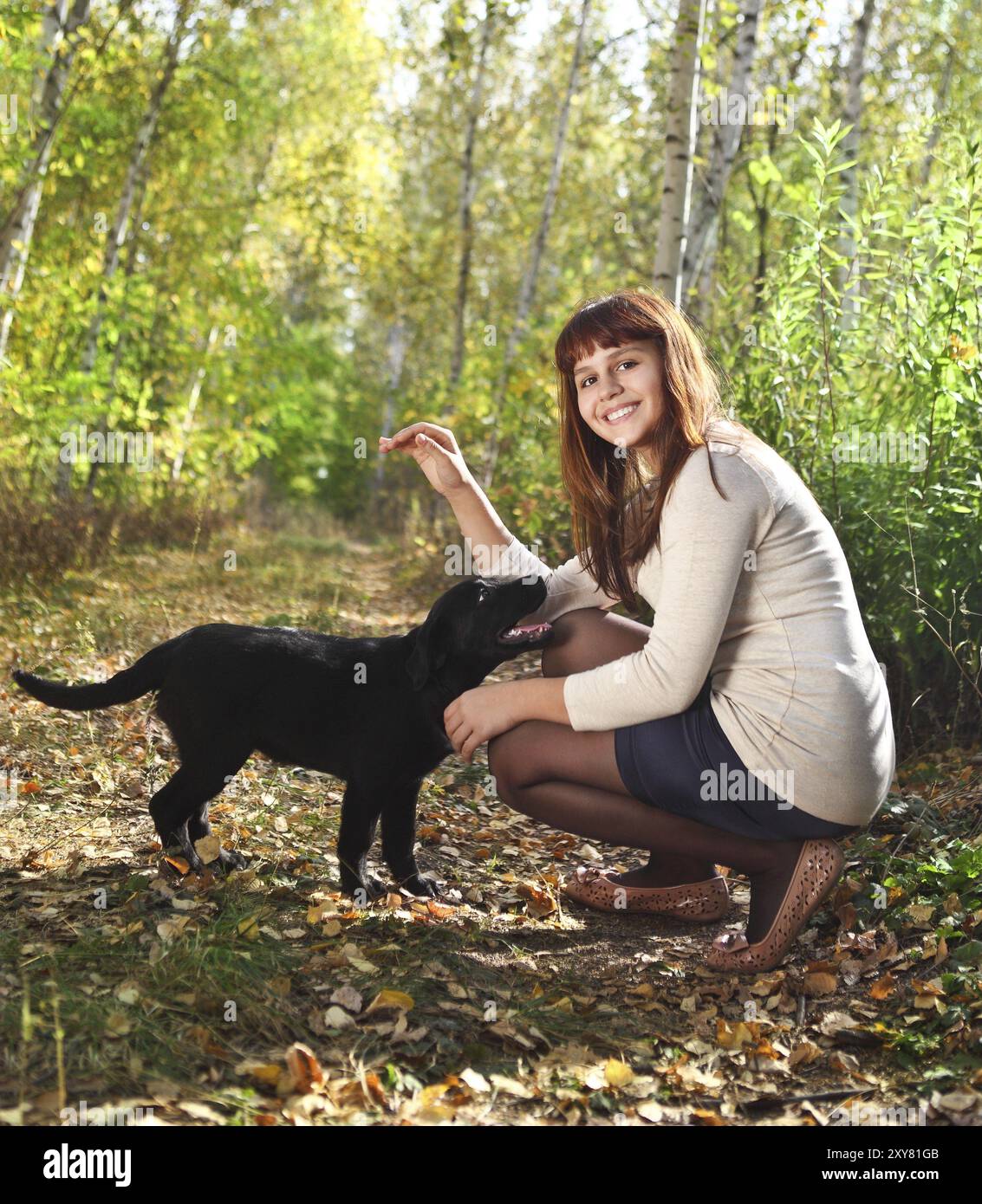 Teenager girl with black labrador retriever puppy outdoors Stock Photo ...