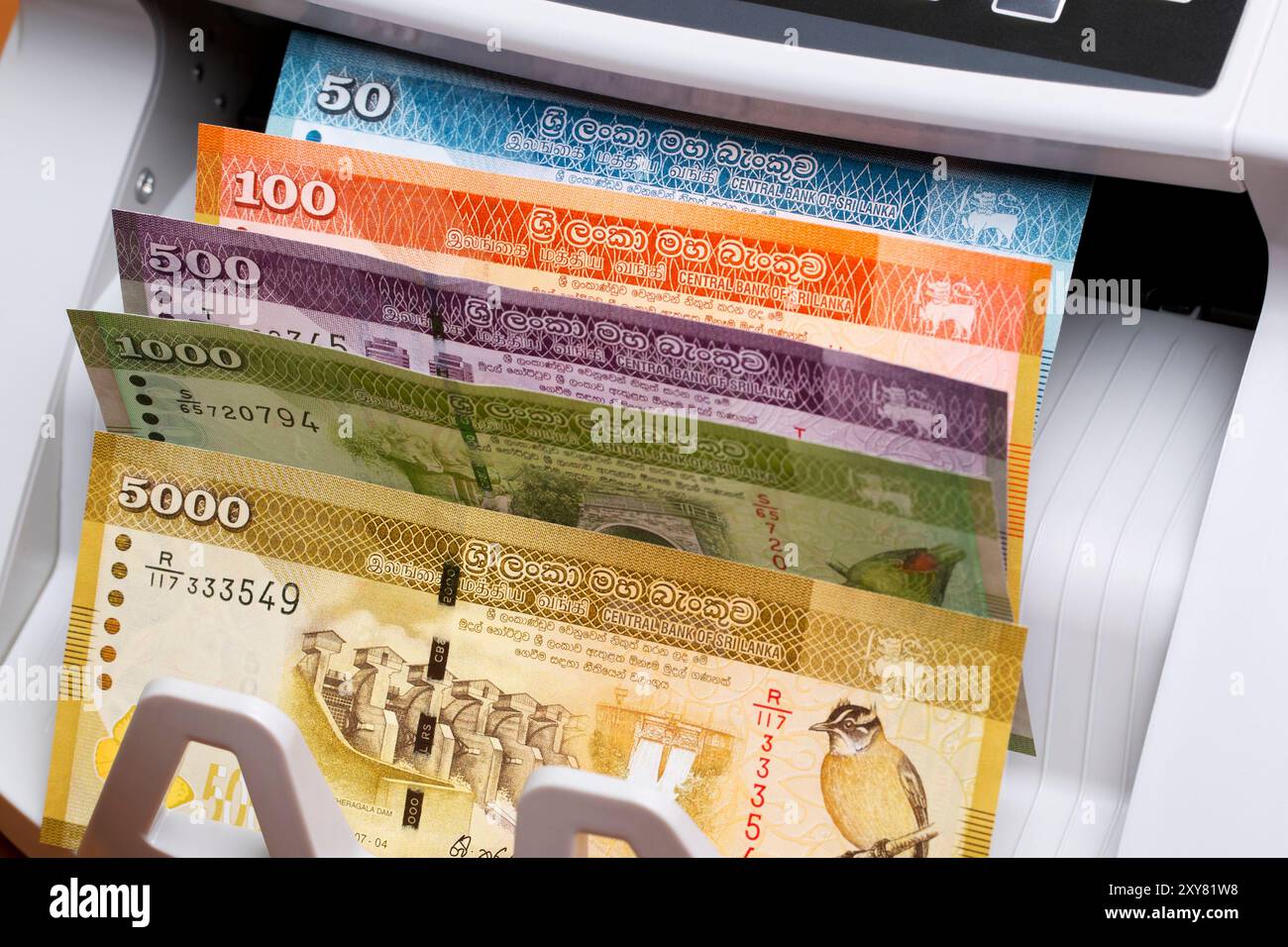 Sri Lankan money - rupee in the counting machine Stock Photo - Alamy