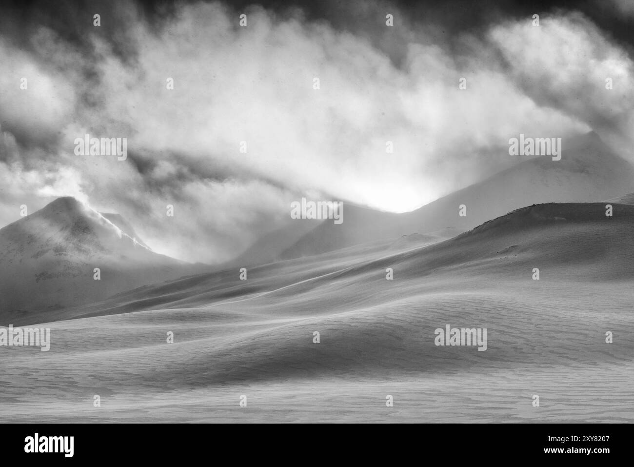 Landscape in the snow, Stuor Reaiddavaggi, Norrbotten, Lapland, Sweden ...