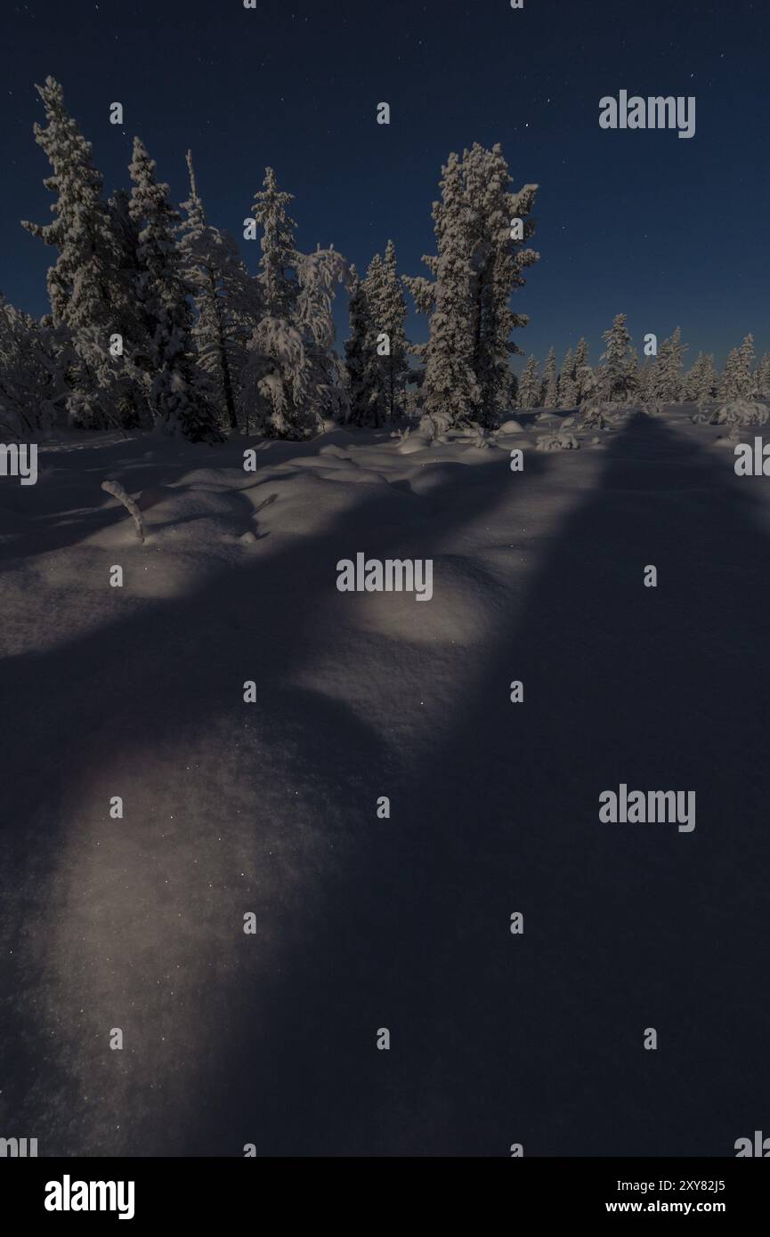 Snowy landscape in the moonlight, Stubba Nature Reserve, Laponia World ...