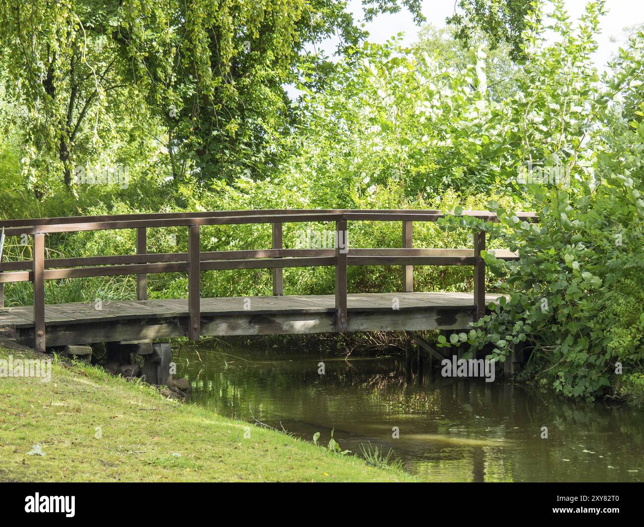 A small wooden bridge spans a stream, surrounded by lush foliage, Bad ...