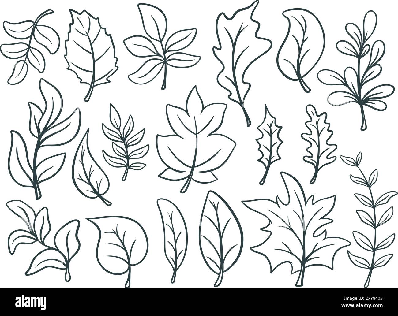 Hand drawn ink leaf set. Tree leaves sketch collection. Botanical rustic twigs and foliage ...