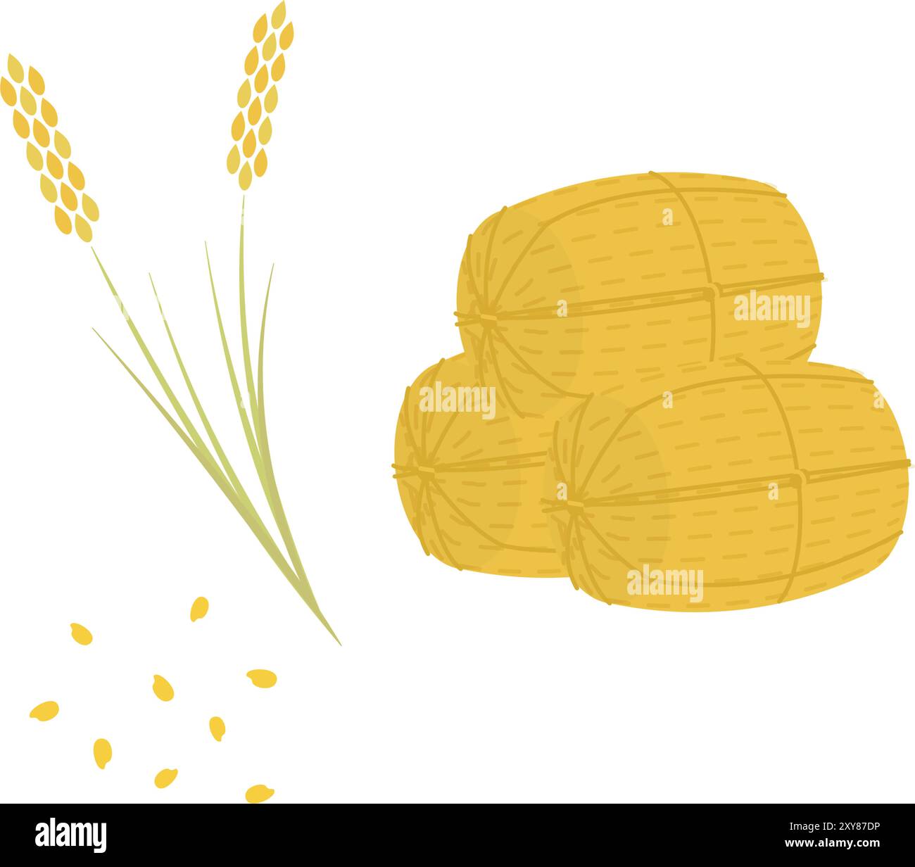 Illustration of rice, harvest of new rice, rice bale, ears of rice and ...