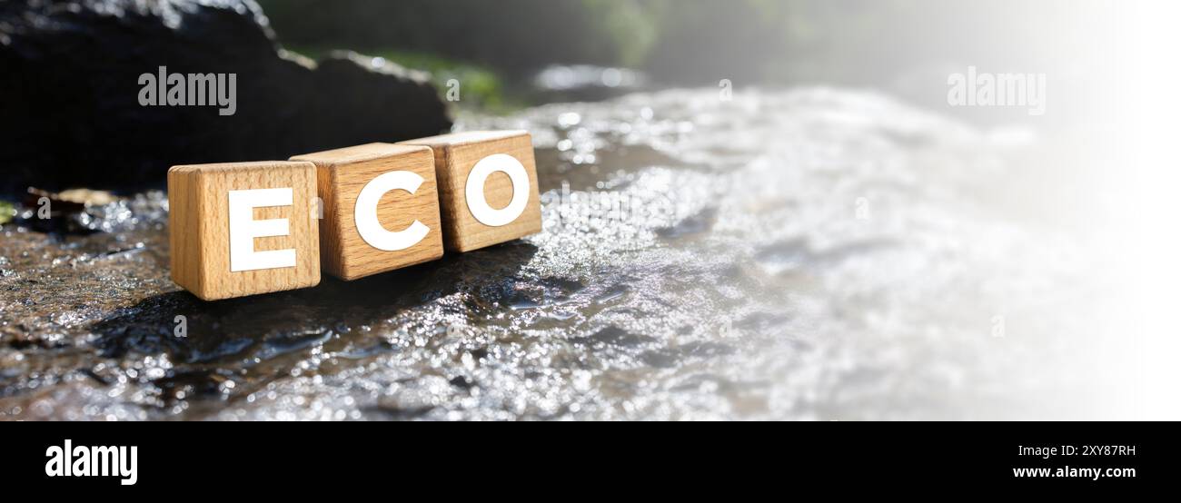 Embracing Ecology Strength in Sustainability banner Stock Photo - Alamy