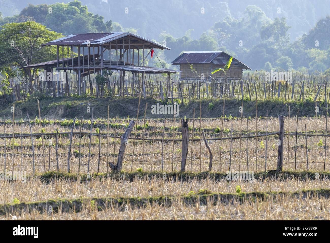 Harvested rice paddies with a small hut, Vang Vieng, Vientiane province ...