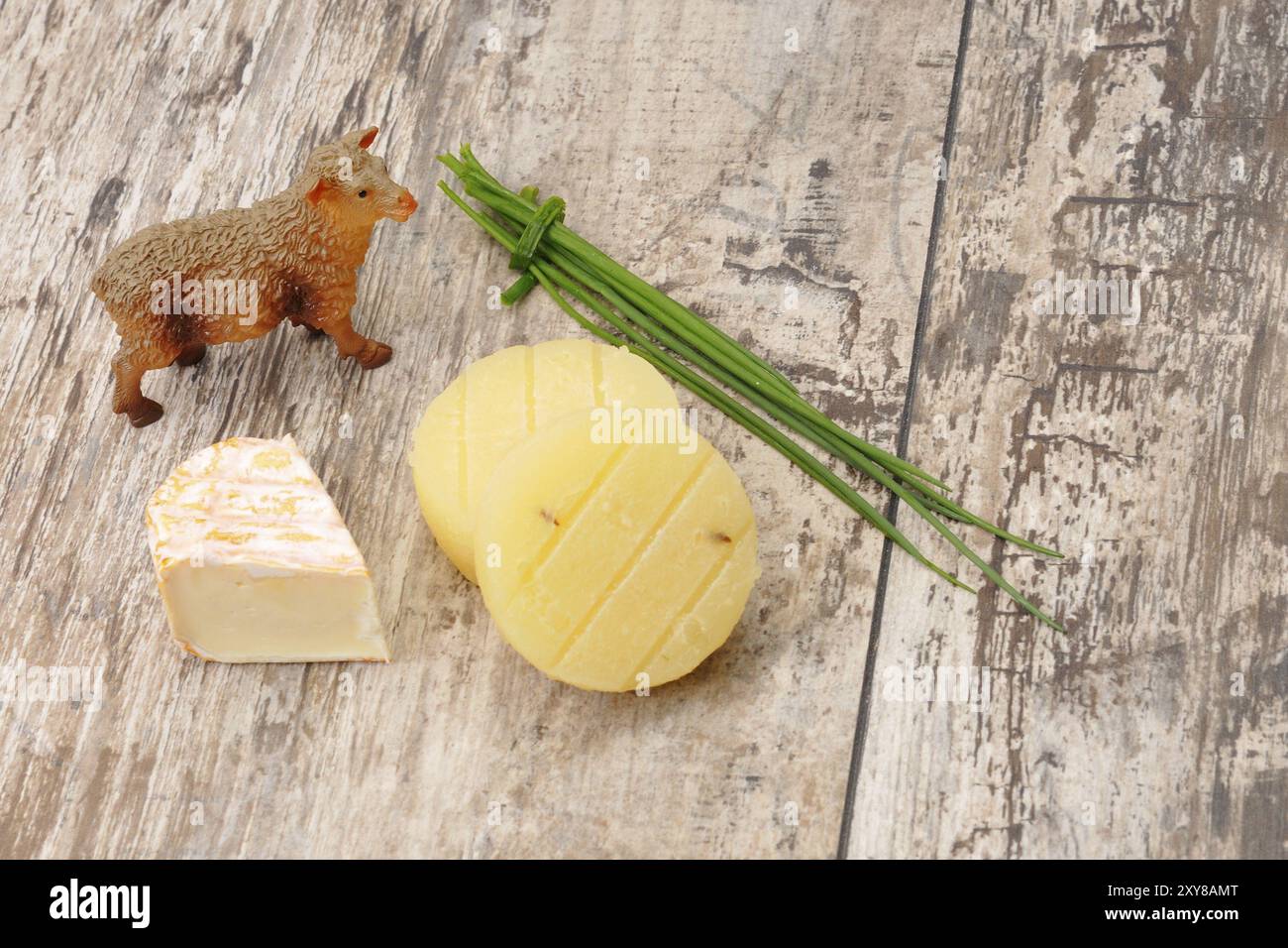 Sheep, yogurt, cheese and milk on a wooden board. Kaese und Milch Stock ...