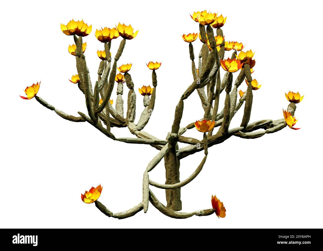 3D rendering of a blooming cholla plant isolated on white background ...