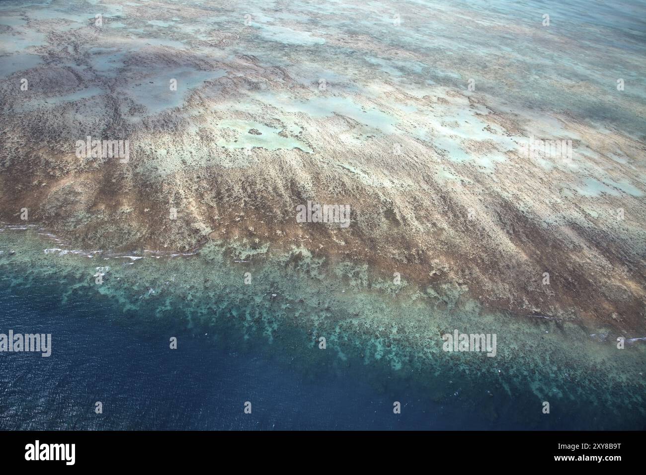 Great barrier reef top down hi-res stock photography and images - Alamy