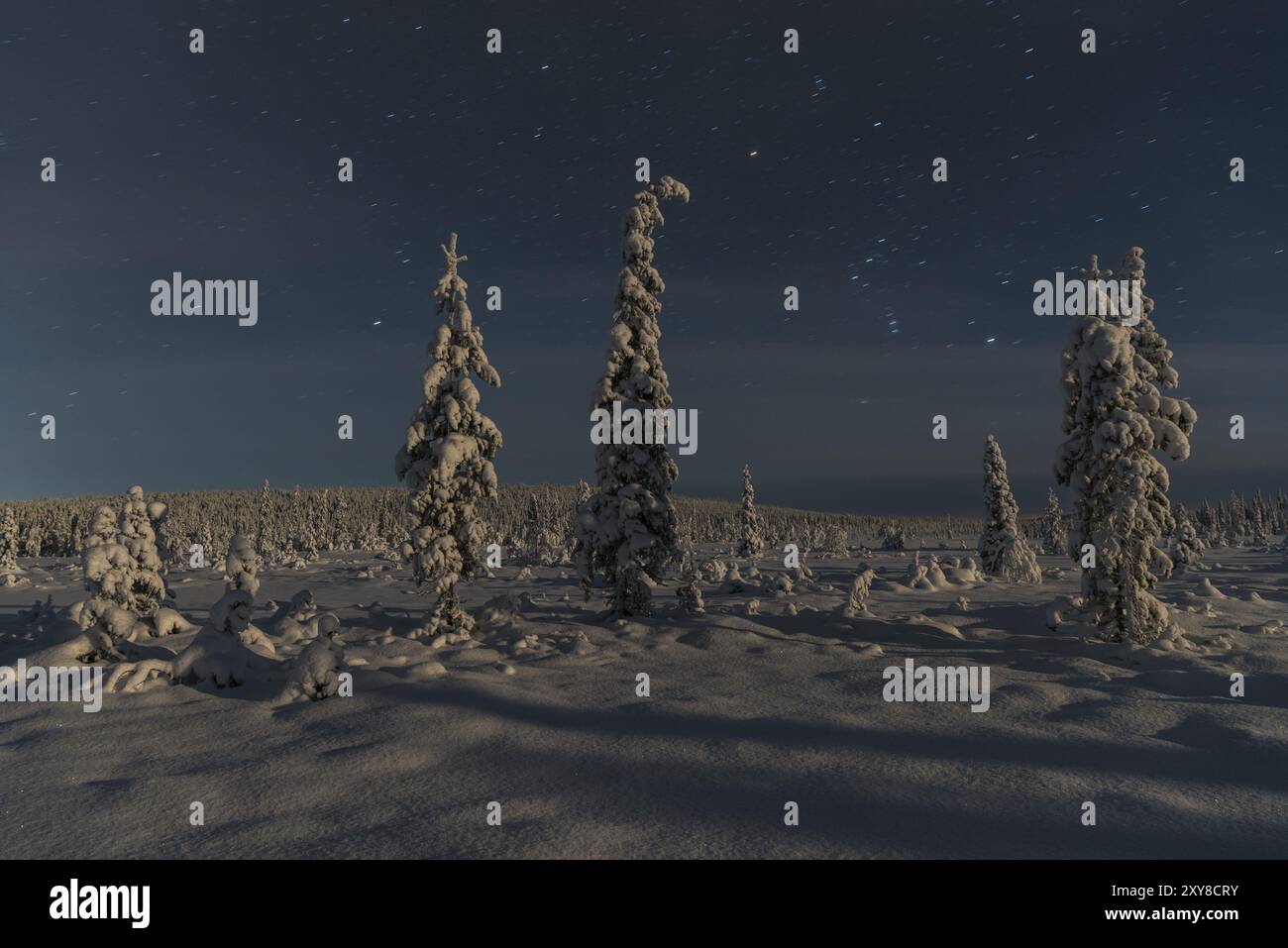 Winter landscape in the moonlight, Norrbotten, Lapland, Sweden ...