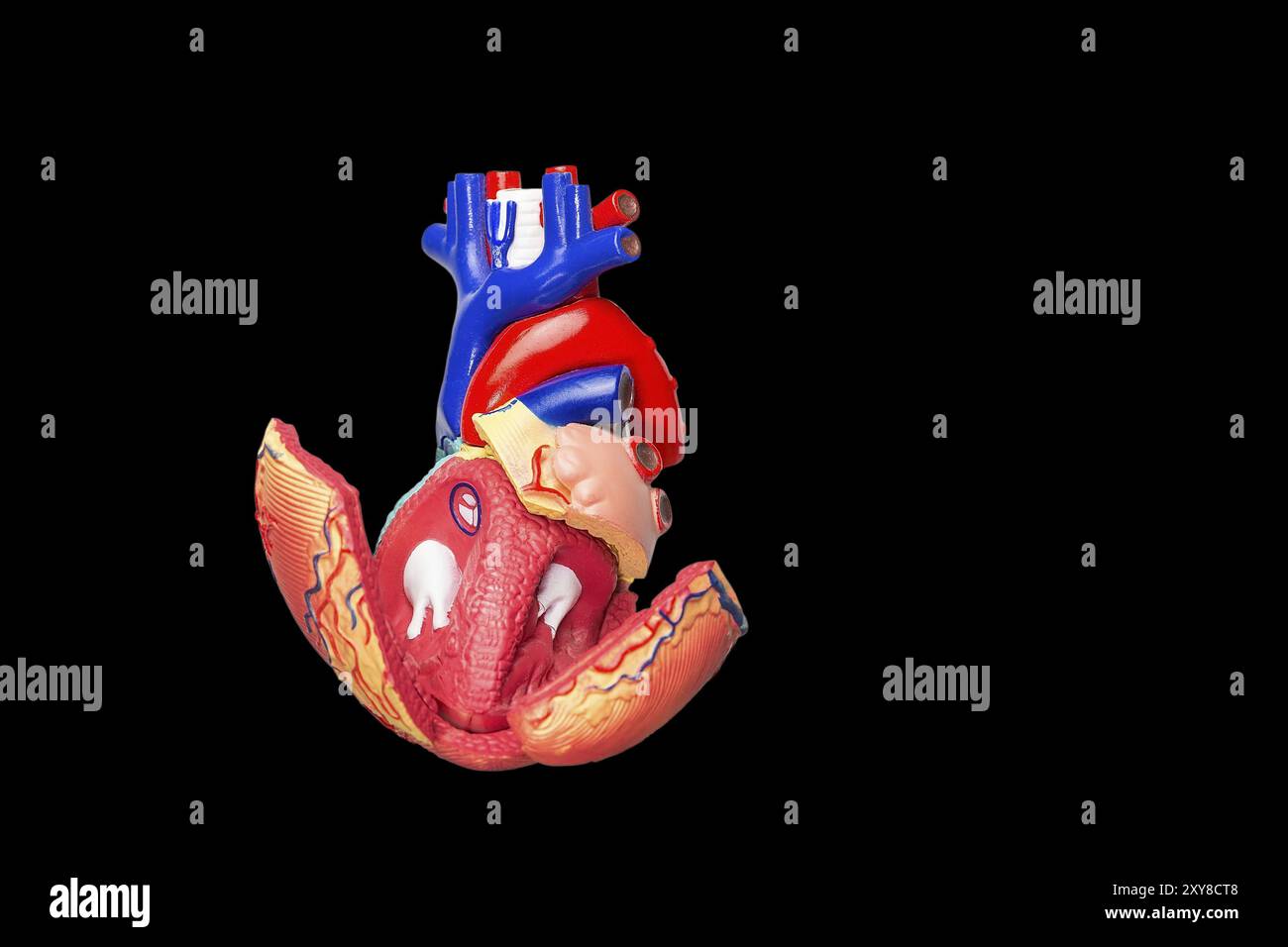 Open heart surgery icon hi-res stock photography and images - Alamy
