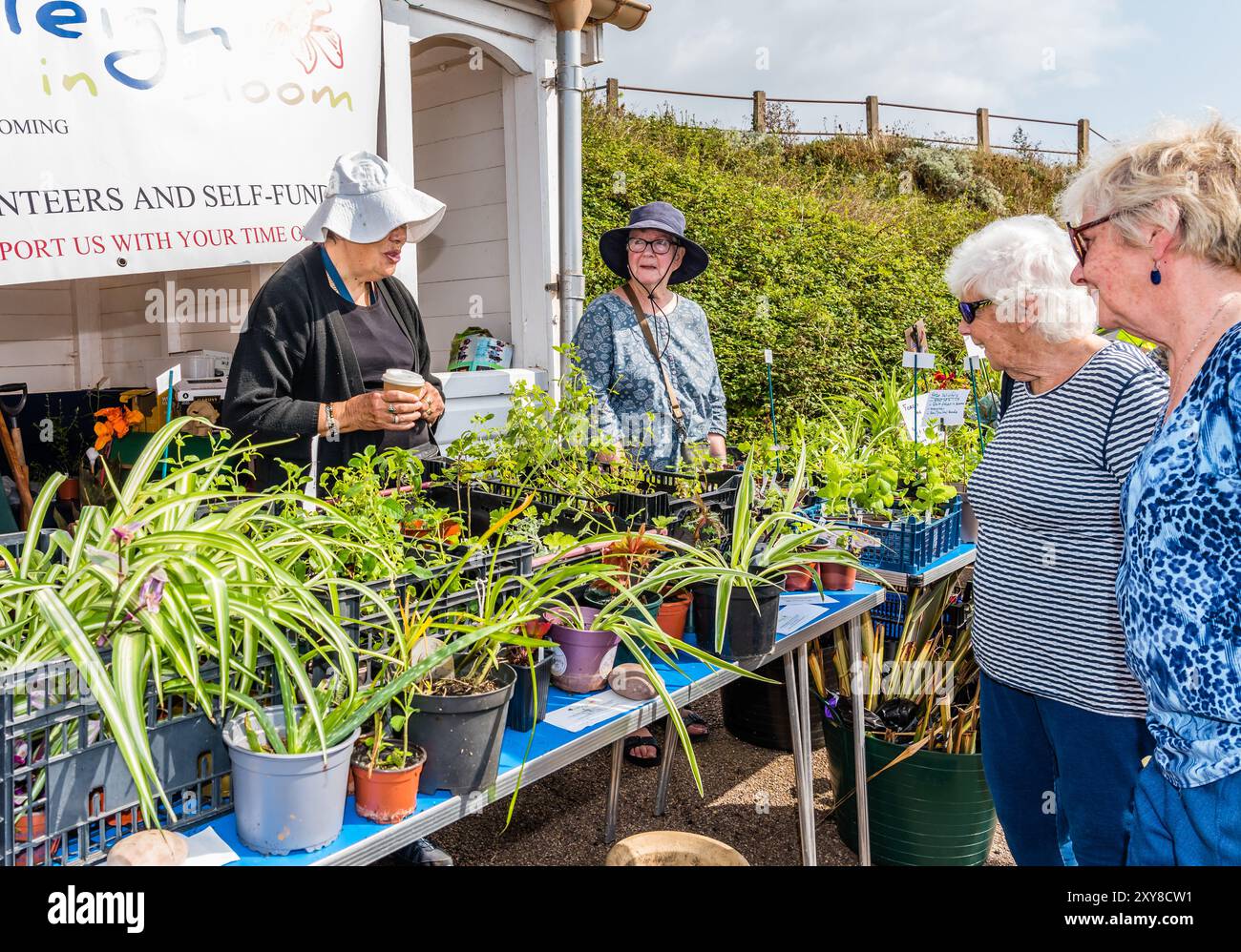 Beach fair 2024 hi-res stock photography and images - Alamy