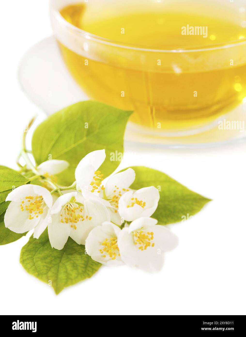 Cup of the jasmin tea isolated on white background Stock Photo - Alamy