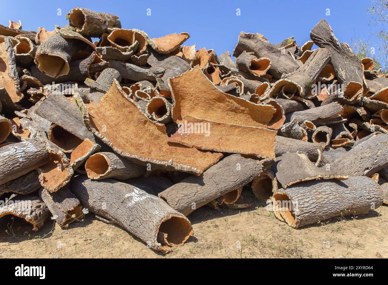 Cork bark pile hi-res stock photography and images - Alamy