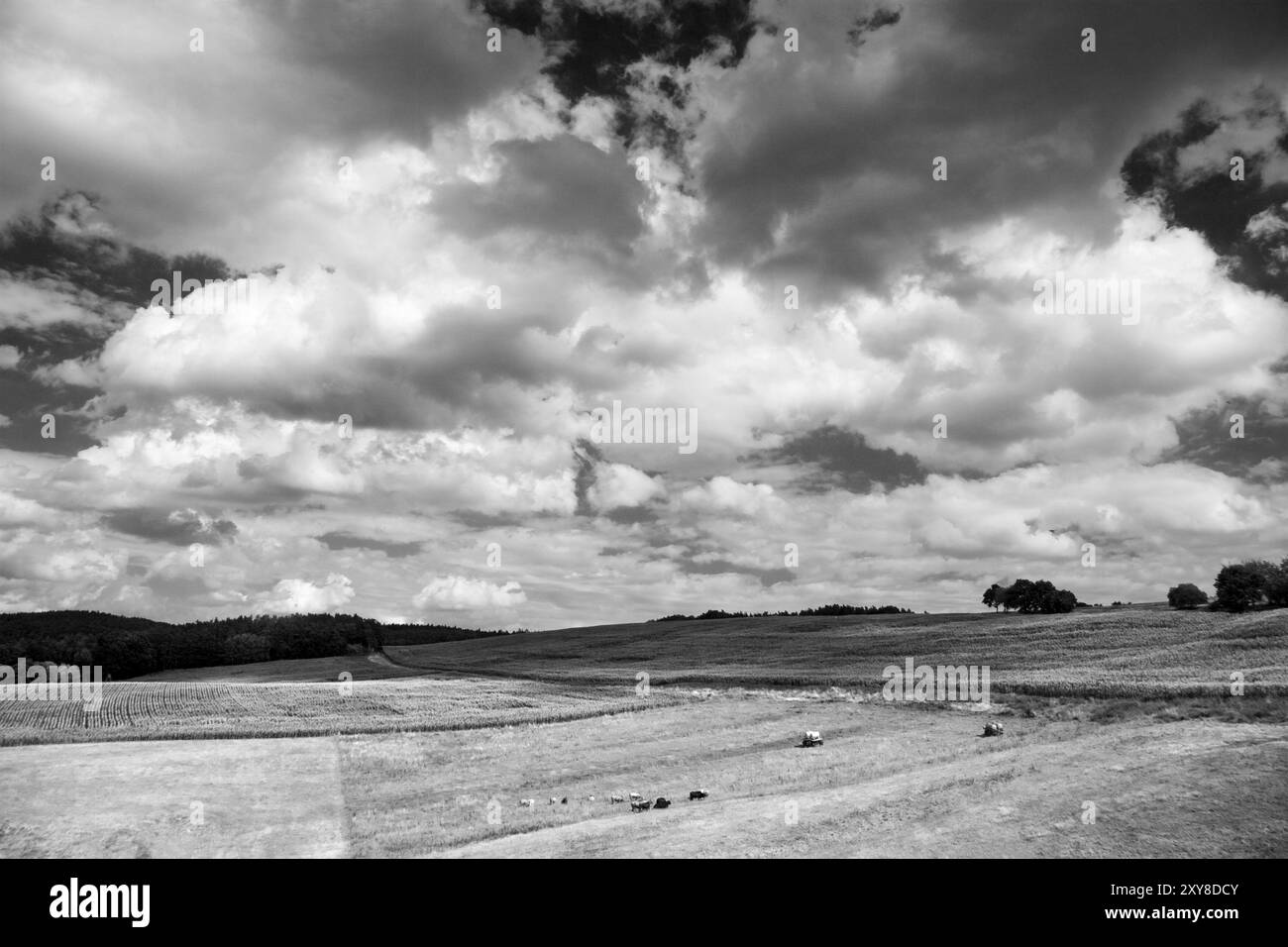 Wide fields (bw Stock Photo - Alamy