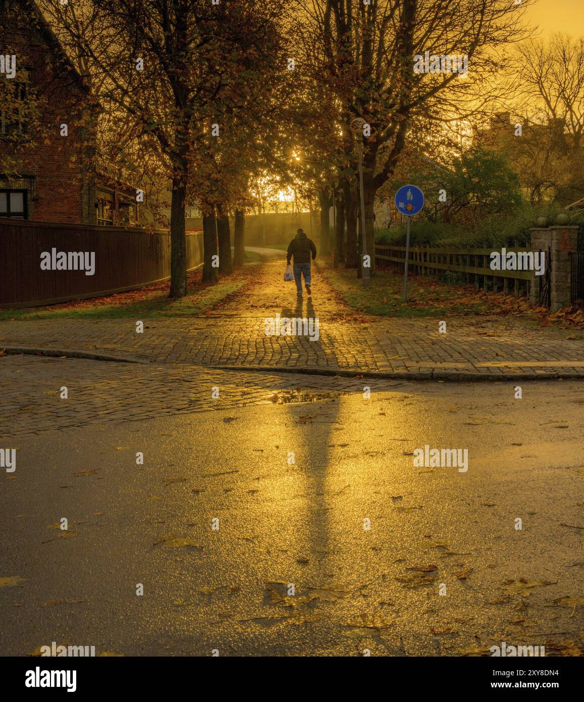 Man walking into the golden sunset on a cobblestone road casting a long ...