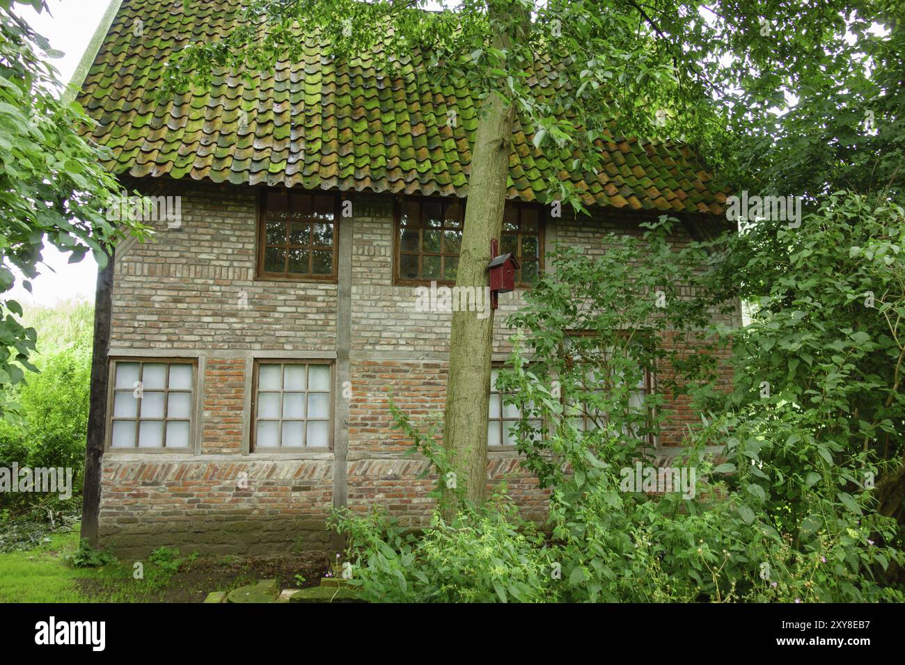 Side view of an old brick house with windows, surrounded by a tree and ...