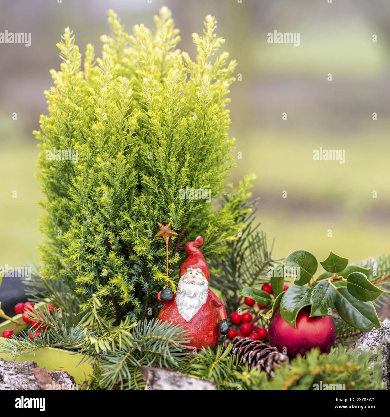 Christmas decorated little red and white Father Christmas figure ...