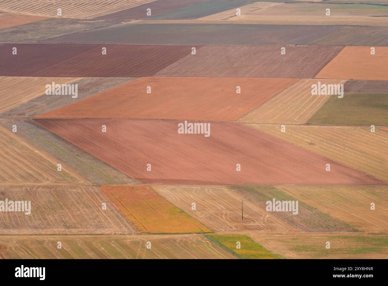 Diverse crop patches hi-res stock photography and images - Alamy