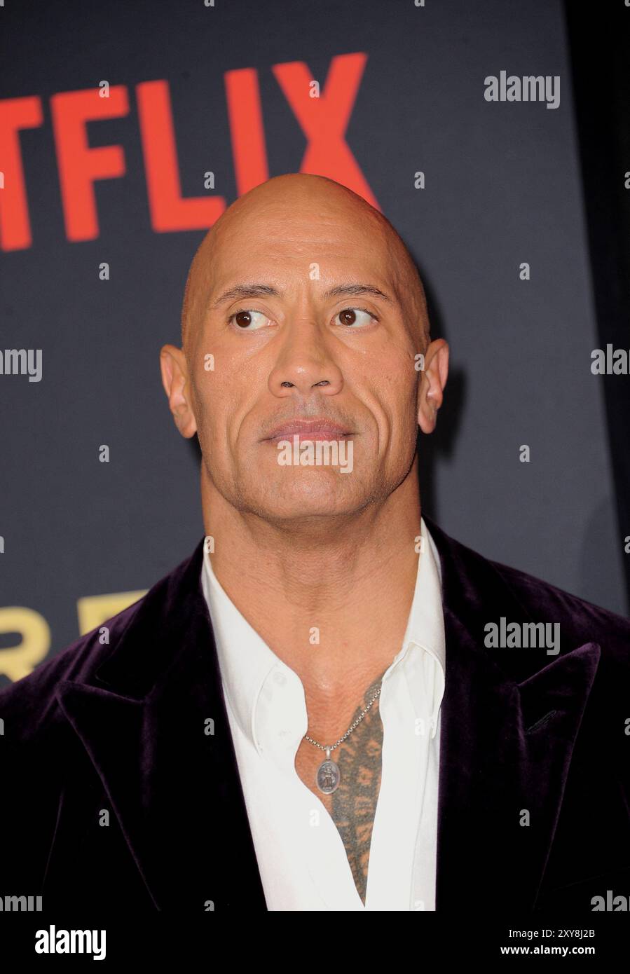 Dwayne Johnson at the World Premiere of Netflix's 'Red Notice' held at ...