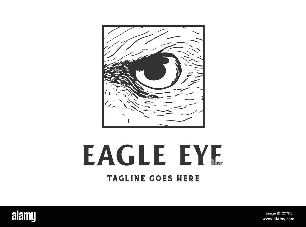 Vintage Retro Eagle Hawk Falcon Bird Eye Eye for Wildlife Zoo ...