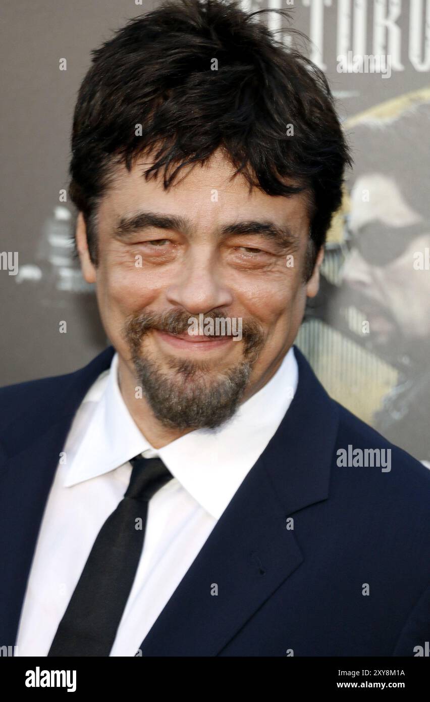 Benicio del Toro at the Los Angeles premiere of 'Sicario: Day Of The ...