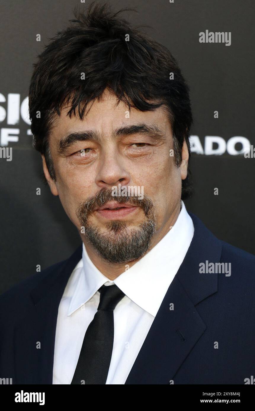 Benicio del Toro at the Los Angeles premiere of 'Sicario: Day Of The ...