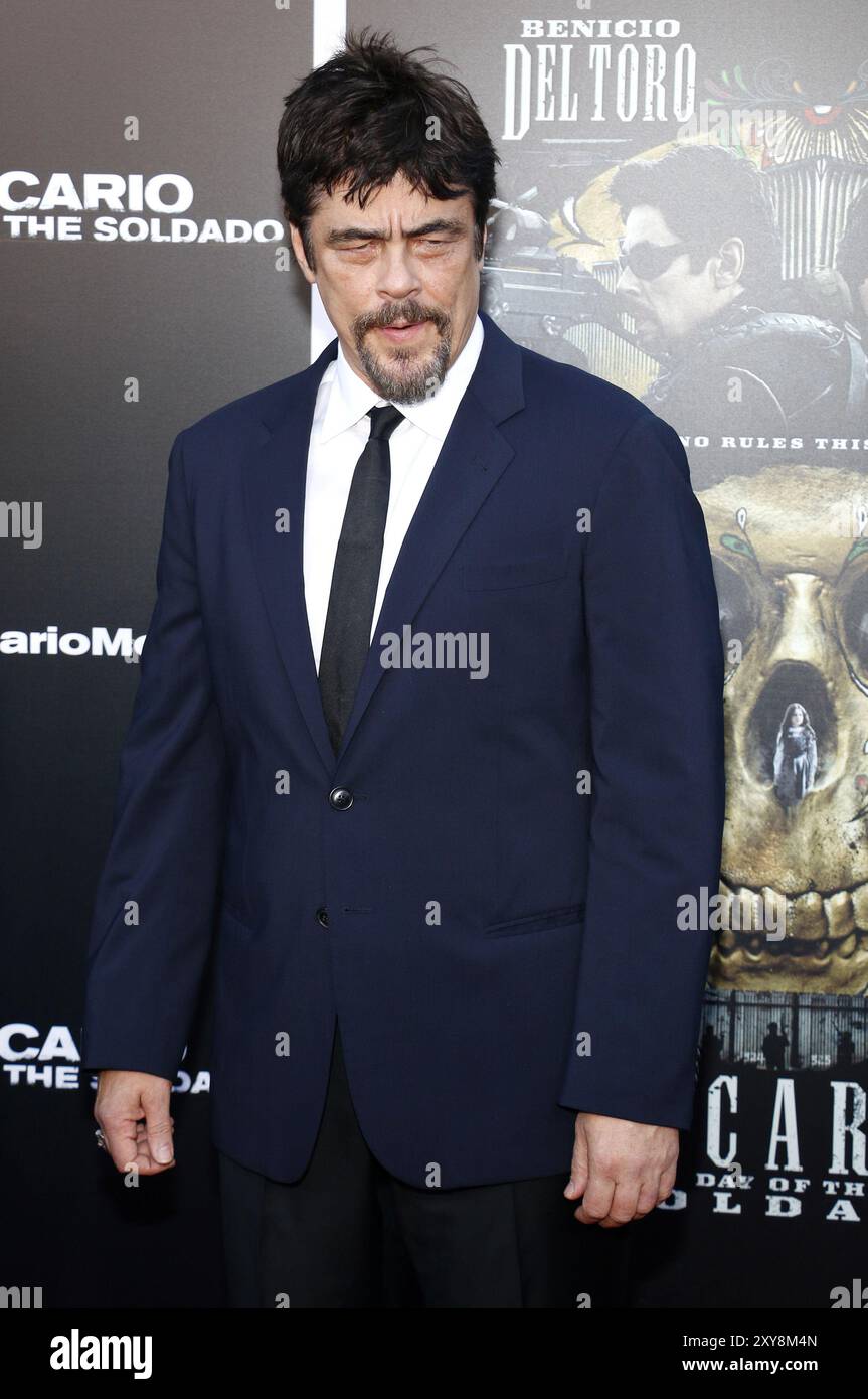 Benicio del Toro at the Los Angeles premiere of 'Sicario: Day Of The ...
