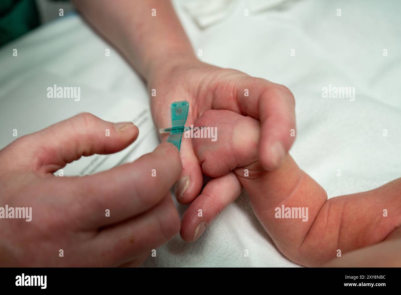 A doctor performing a blood sampling procedure on a newborn baby in a ...