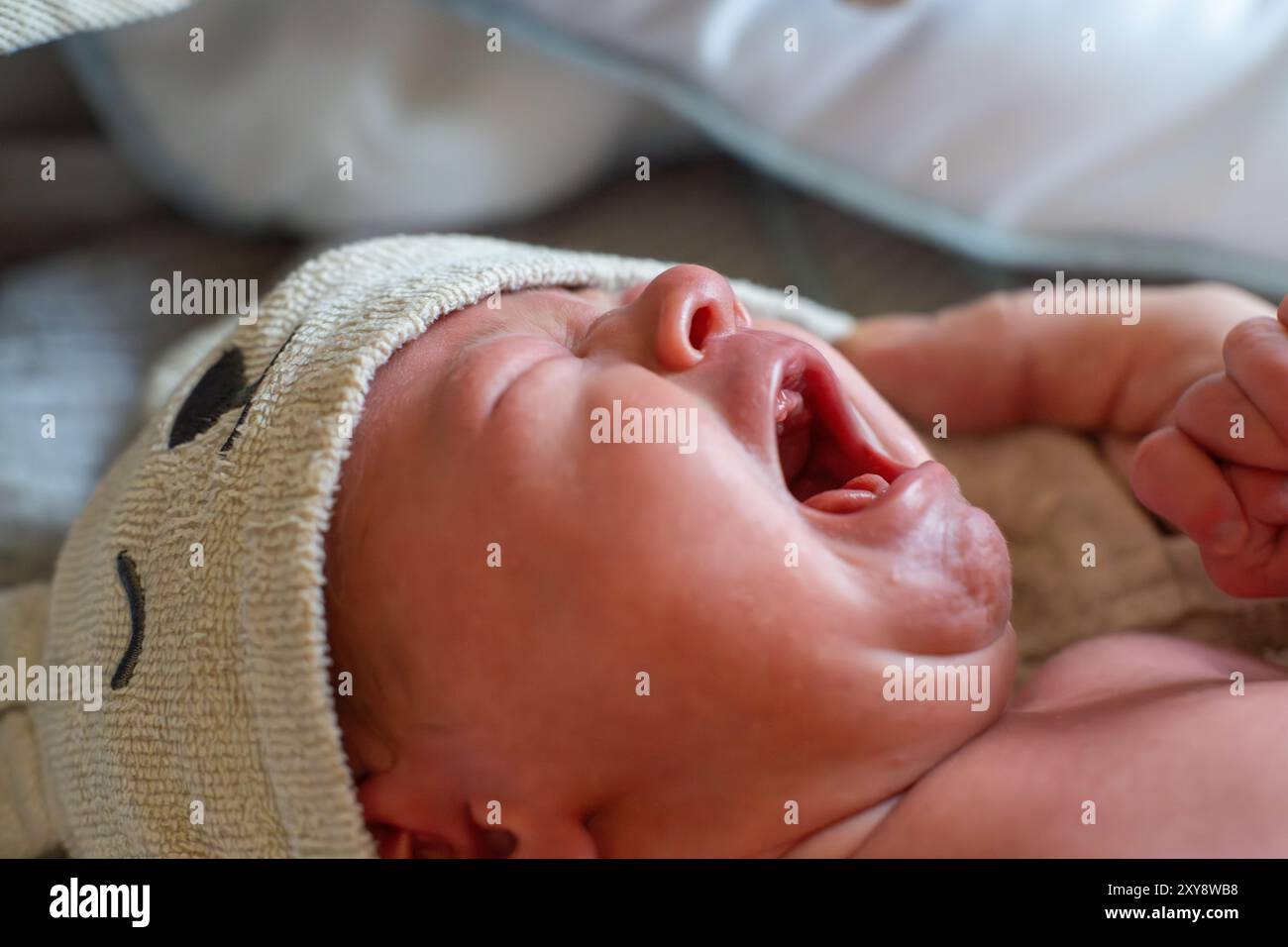 Close-up of an infant with an open mouth, showing signs of hunger in a ...