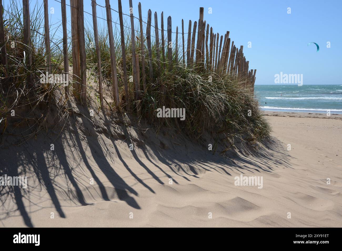 Sand dunes and fence by the beach at Bentham in Devon Stock Photo - Alamy