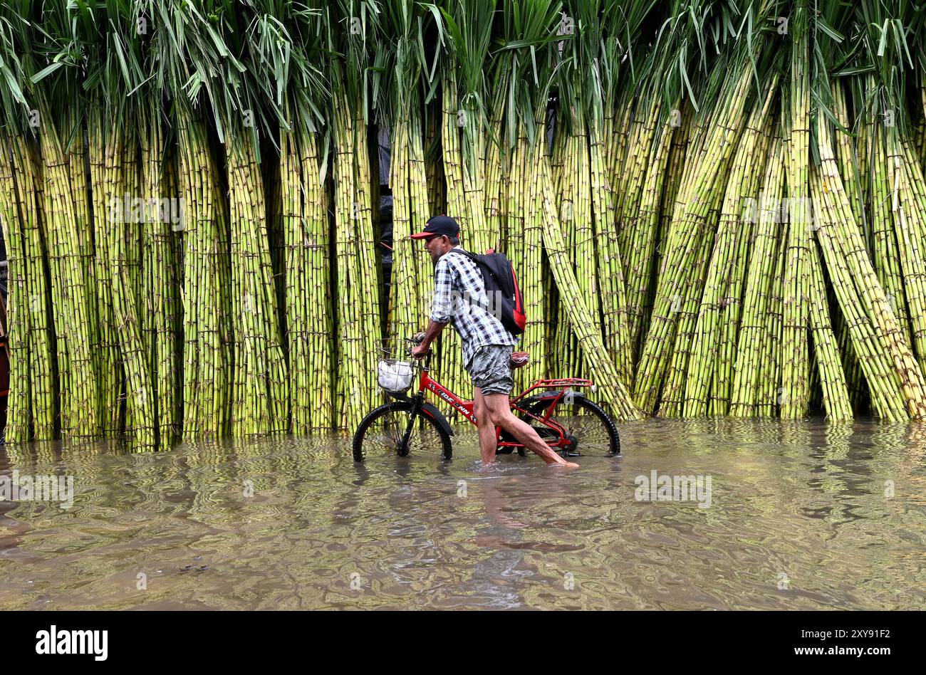 Heavy overnight rain during last three consecutive days owing to a well ...