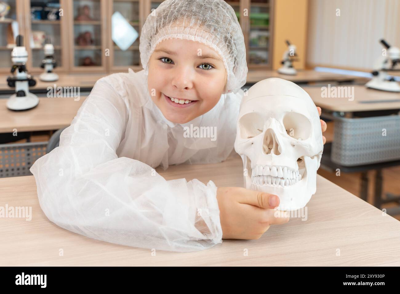 Human skulls in lab hi-res stock photography and images - Alamy