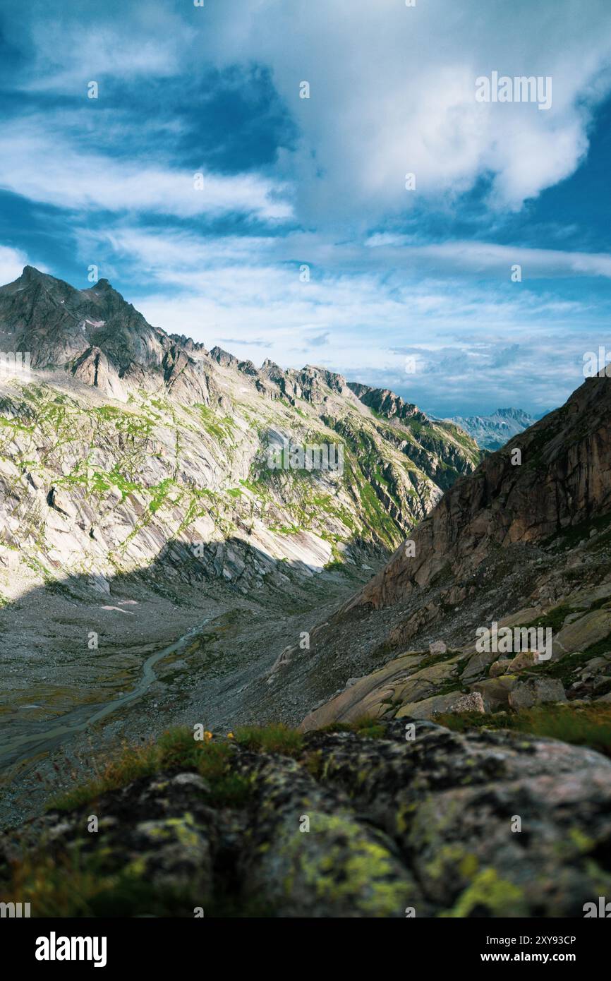 Baumgrenze moos hi-res stock photography and images - Alamy