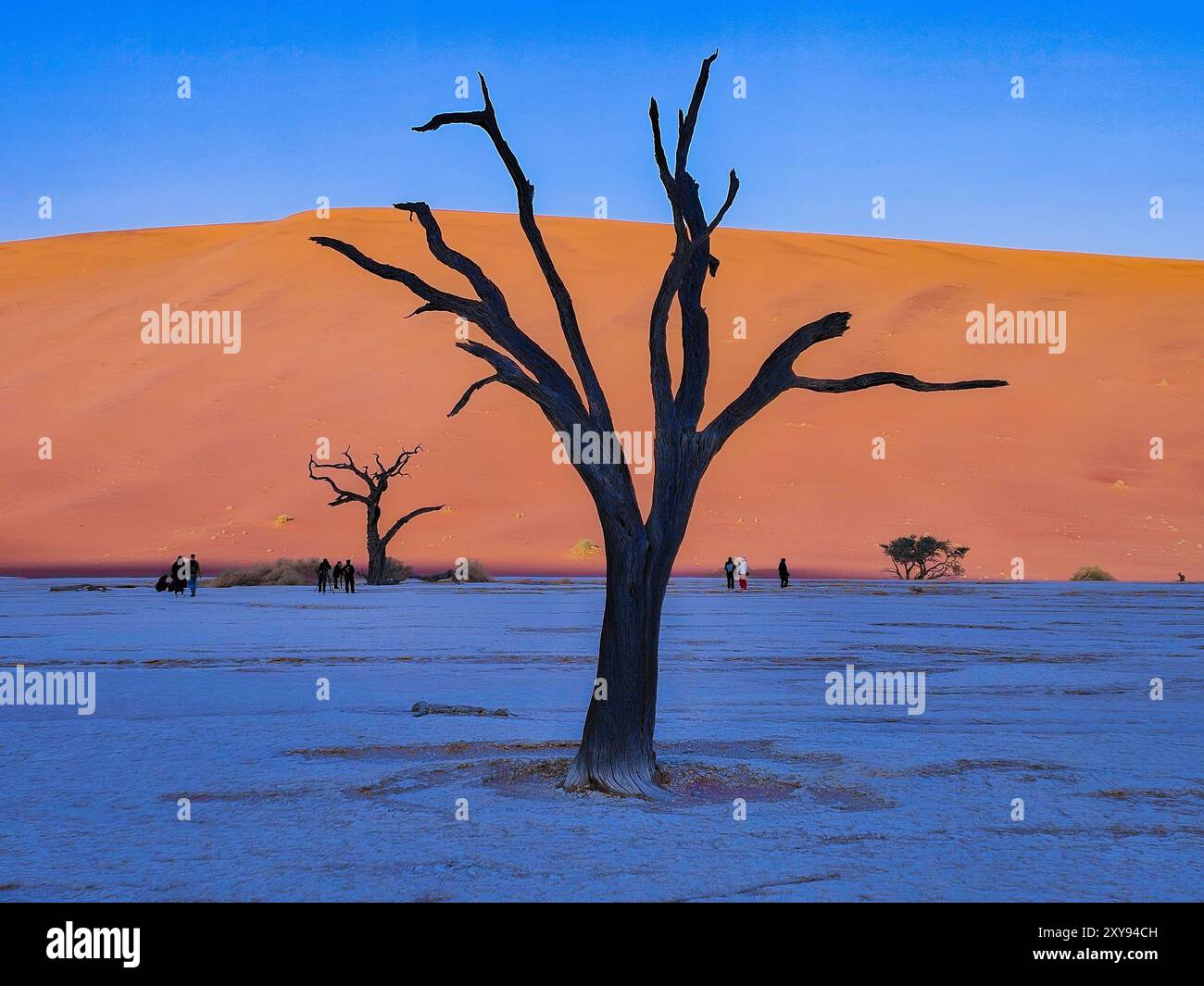 Deadvlei in Namibia is the site of 800 year-old skeleton trees Stock ...
